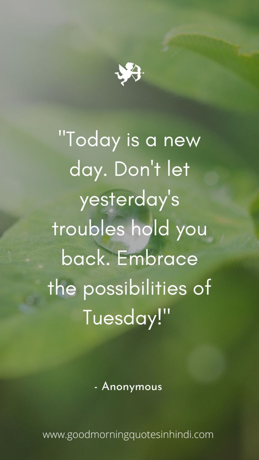 40 Amazing Good Morning Tuesday Quotes and Images To Motivate Your Day