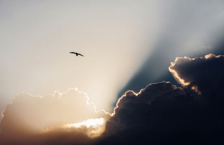 Top 235+ Best Japanese Names: Understanding the Meanings and Significance